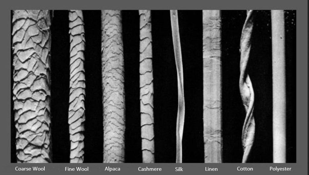 What is Wool | Read our Blog to Find Out | The Wool Company