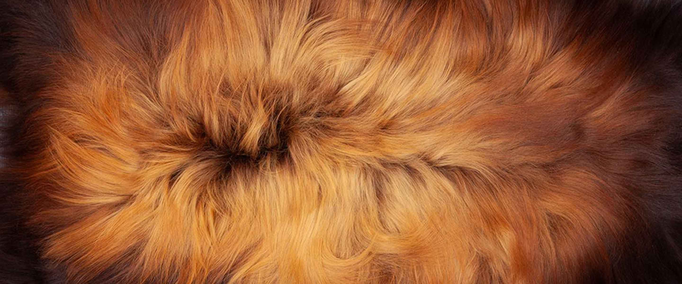 Luxury Real Sheepskin Products | The Wool Company